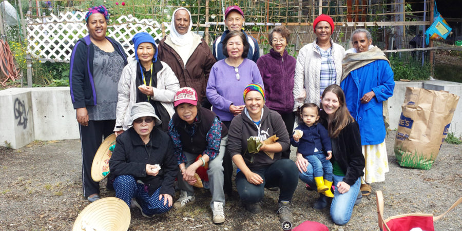 Join Our P Patch Community Gardening Program Plots Still Available In